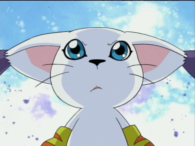 Digimon Adventure 02 – Tailmon – Digiduo